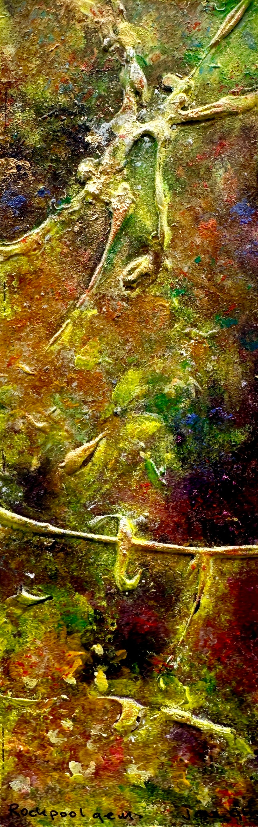 Original painting/Rockpool gems – www.janeglue.com